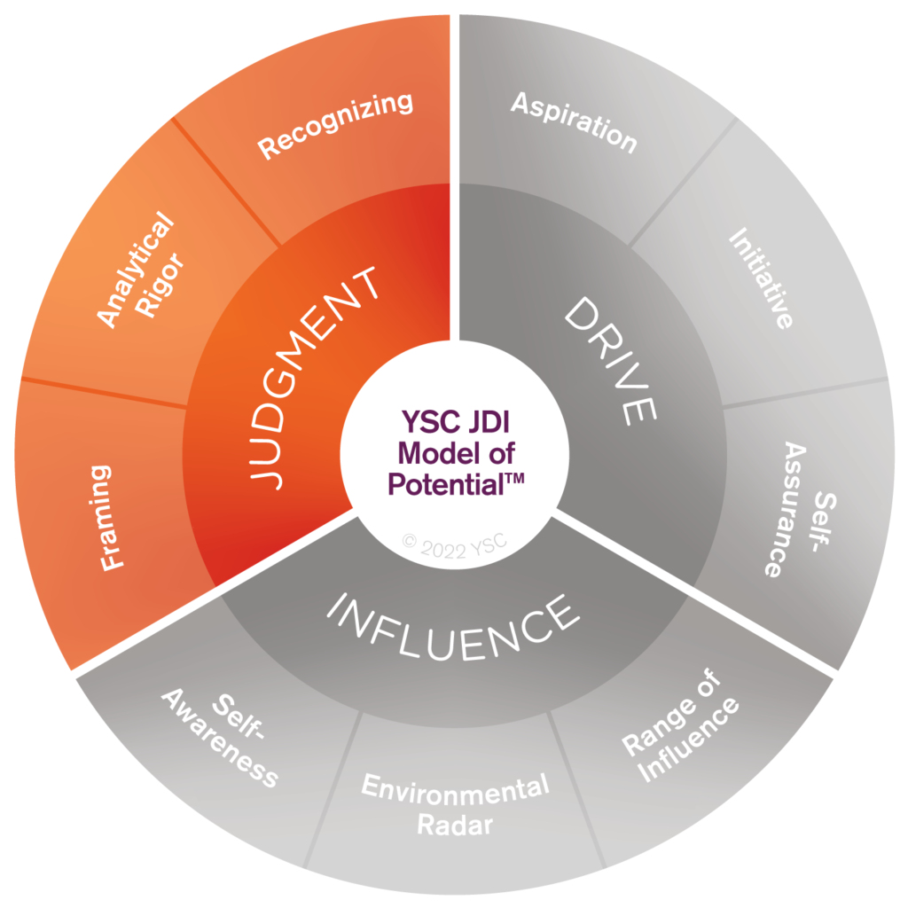 Building your capability in a crisis – YSC