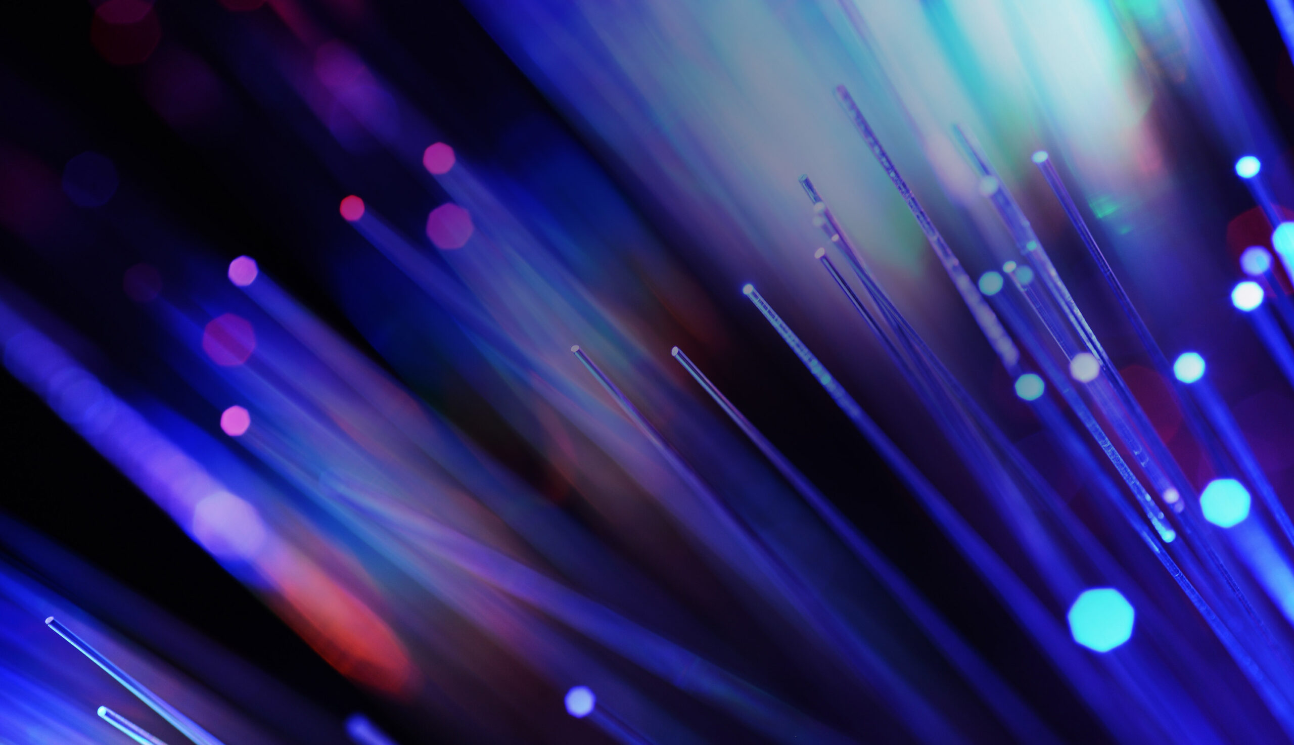 Developing inclusive leaders – YSC